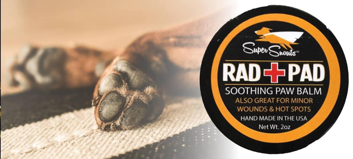 Rad Pad Paw Balm – Modern K9