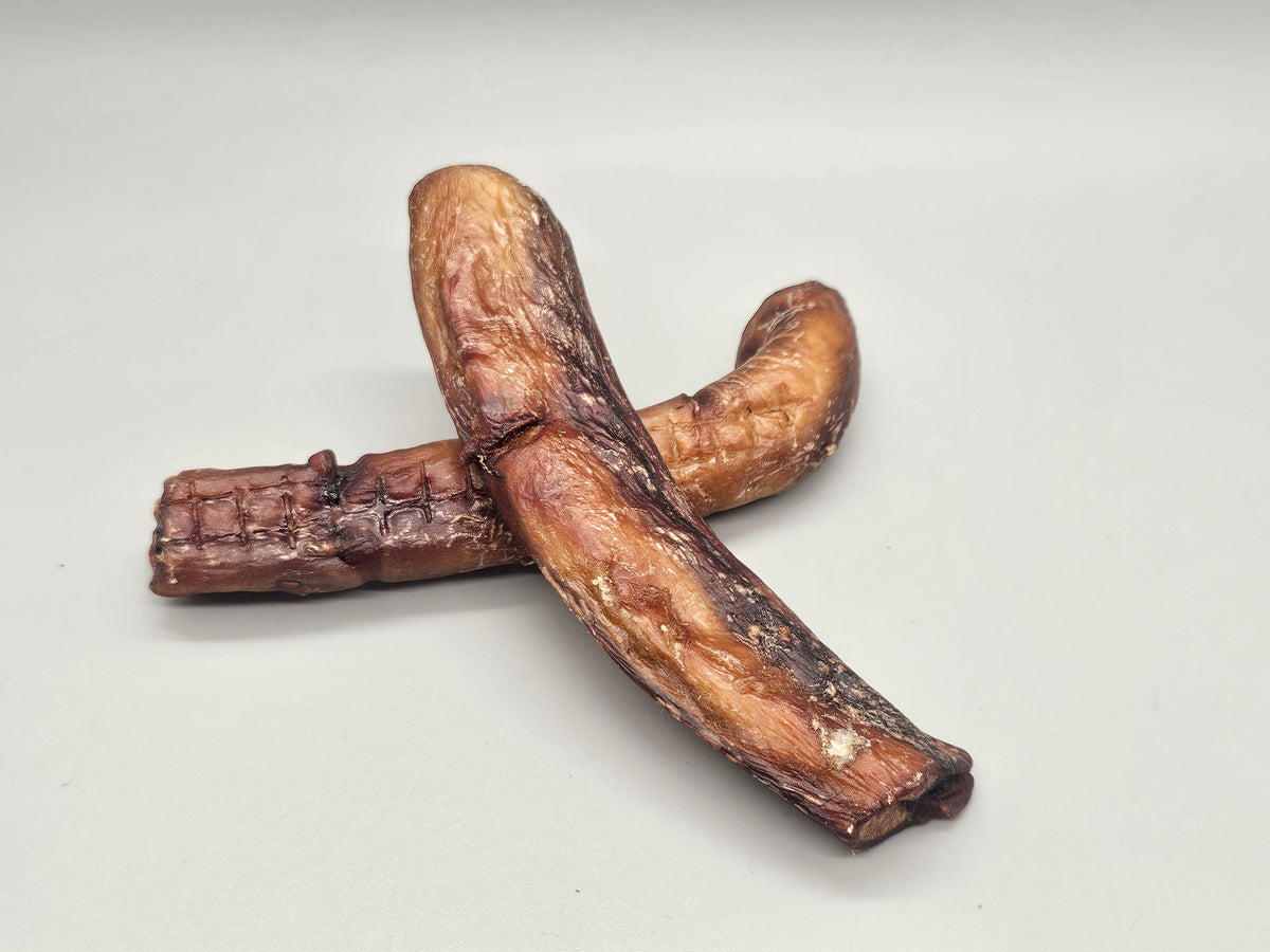 Bison Bully Sticks - Odour Free – Modern K9