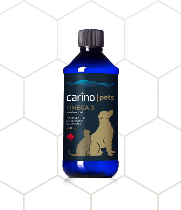 Carino Omega 3 Harp Seal Oil – Modern K9