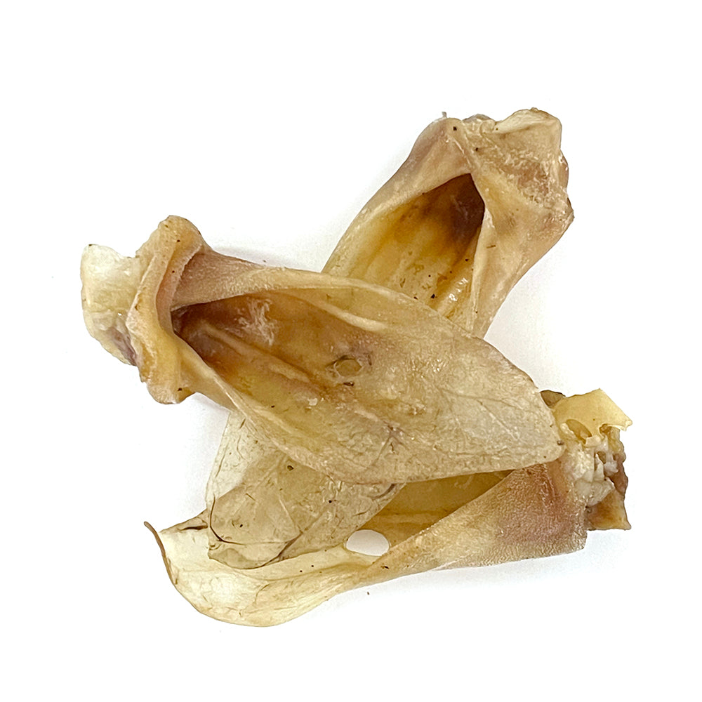 Dried Lamb Ears – Modern K9