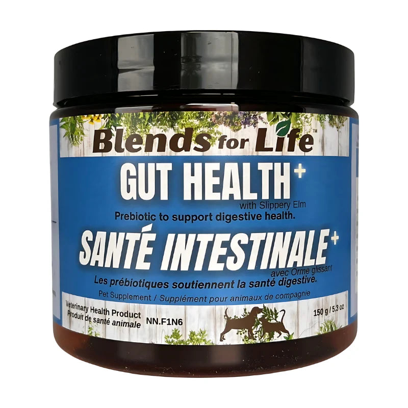 Blends For Life Gut Health – Modern K9