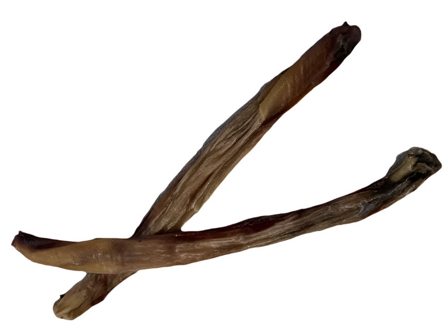 Bison Bully Sticks - Odour Free – Modern K9