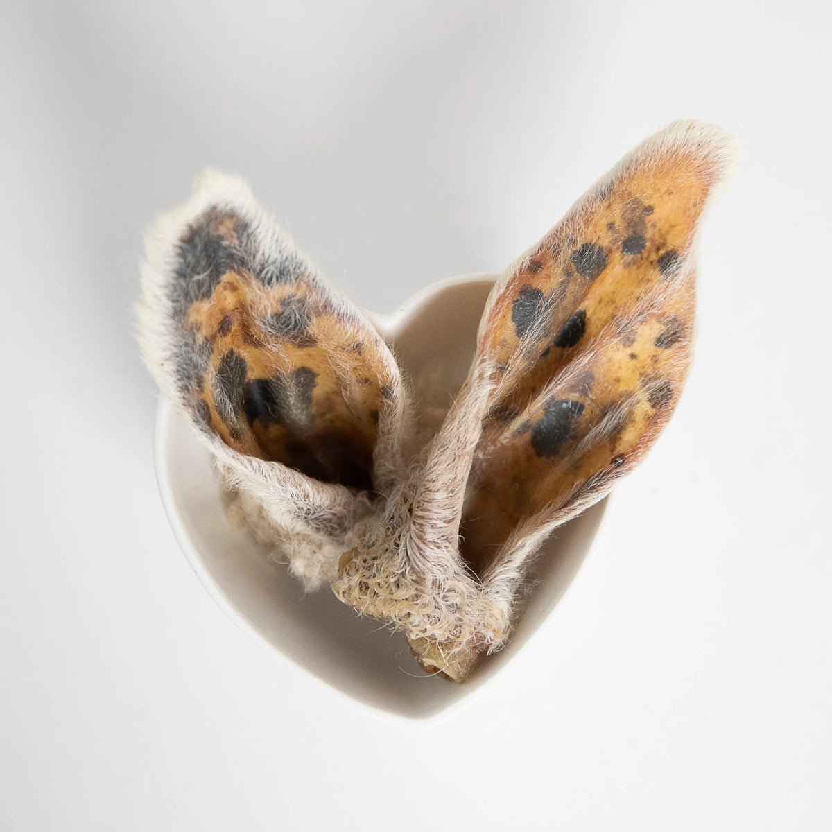 Dehydrated Lamb Ear (with hair) – Modern K9