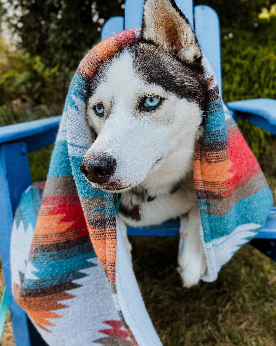 Sherpa Pet Blanket – Modern K9