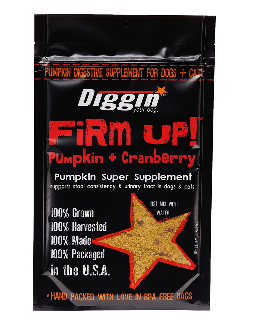 FiRM UP! Cranberry by Diggin Your Dog – Modern K9