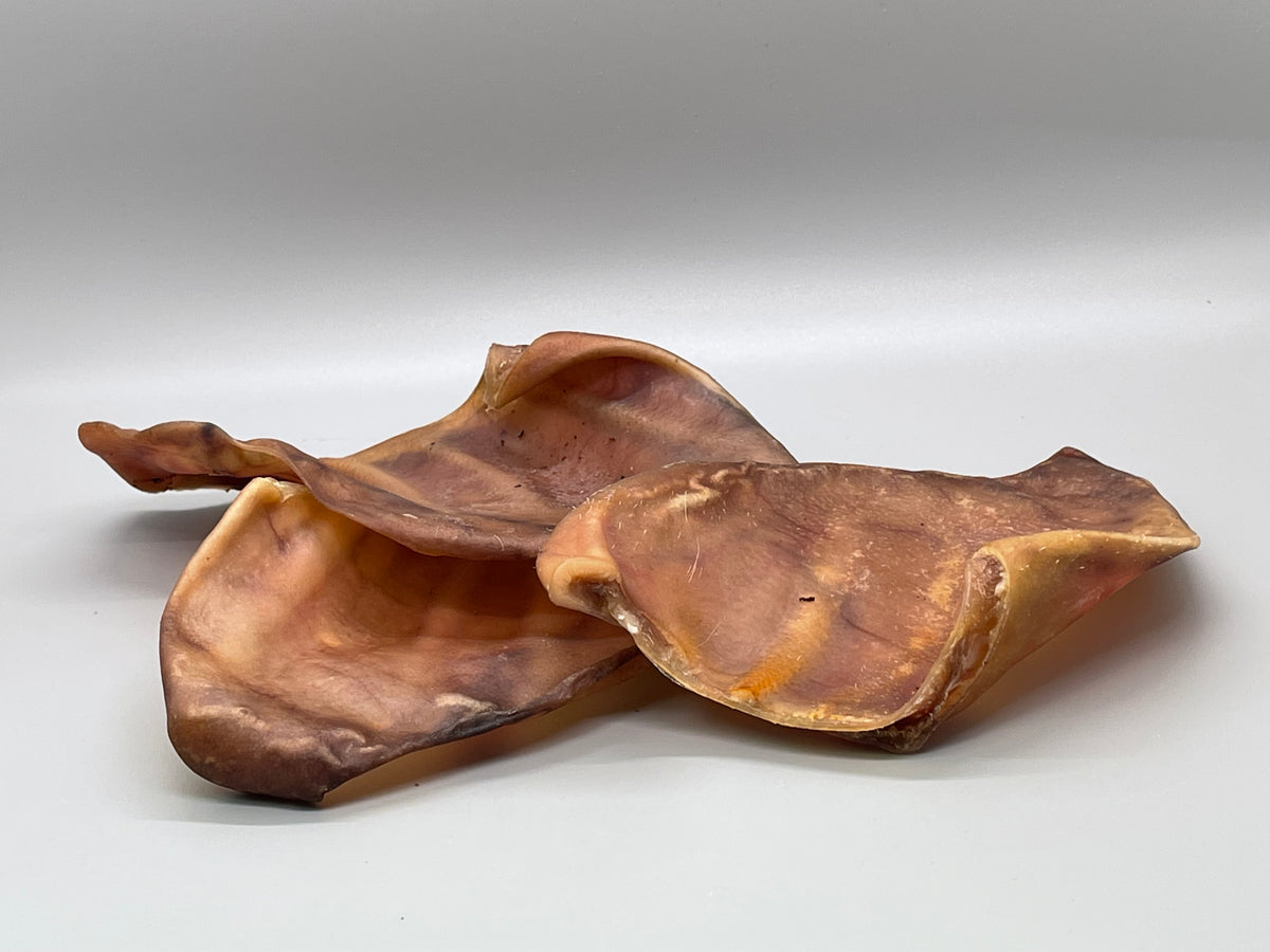 Dehydrated Pig Ear – Modern K9